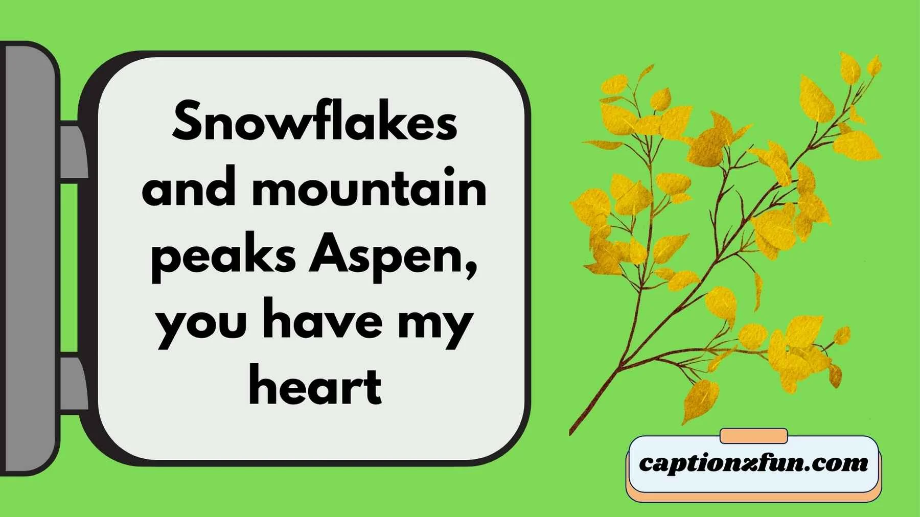 165+ Aspen Quotes and Captions to Capture Nature (2025)